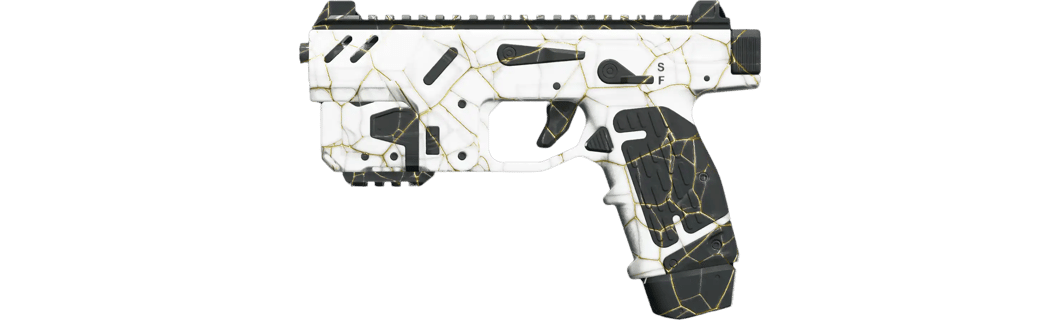 The Best Pistols in Warzone | Top Pistols in Warzone